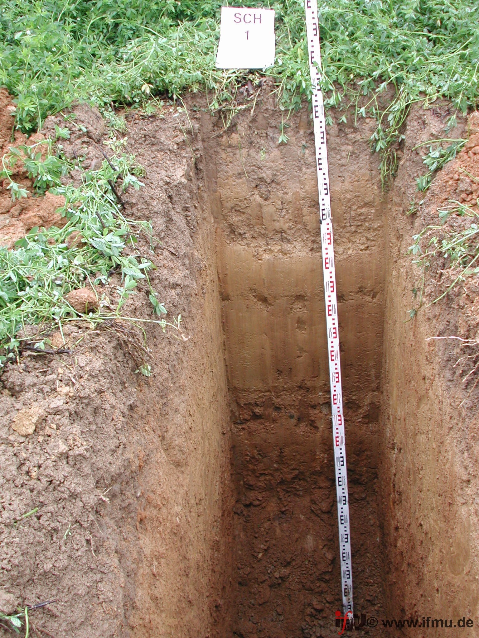 Entsorgung von Boden und Bauschutt - ifMU GmbH - Material- und ...